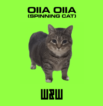 W&W GIVES ETHEL THE VIRAL OIIA CAT A PARTY-READY MAKEOVER ON NEW TRACK ...